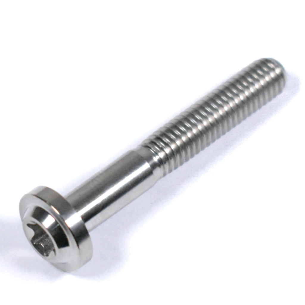 M6 Titanium Low Profile Button Head Torx Bolts | RSR Moto