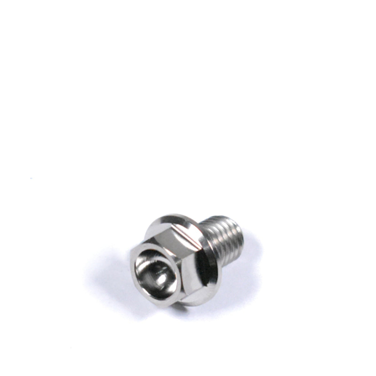 M7 Titanium Hex Head Bolt | M7x1.00x10 | RSR Moto